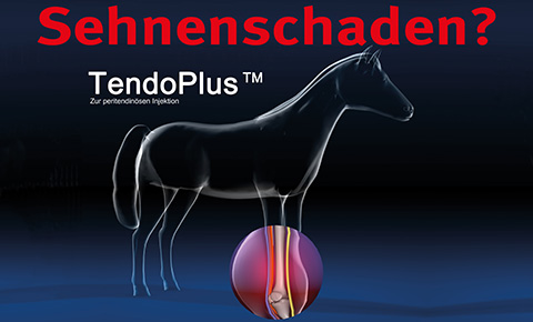 TendoPlus™ Neue Therapie bei Sehnen und Bandverletzung